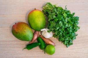 5-Ingredient Mango Salsa Without Tomatoes Recipe - No Frills Kitchen