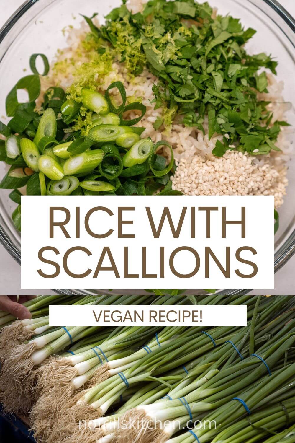 Brown Rice with Scallions and Sesame Recipe - No Frills Kitchen