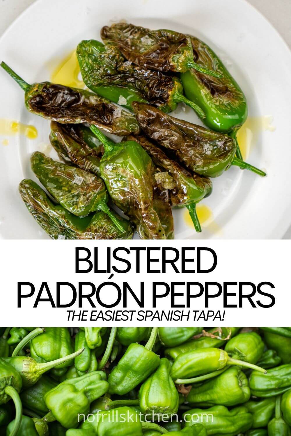Blistered Spanish Padrón Peppers - Easy Tapas Recipe! - No Frills Kitchen