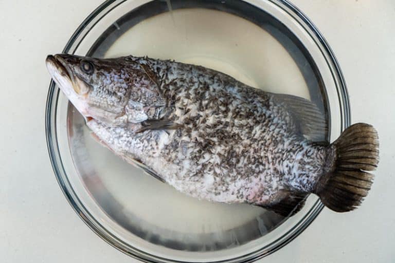 Foolproof Whole Sea Bass Baked in Foil - No Frills Kitchen