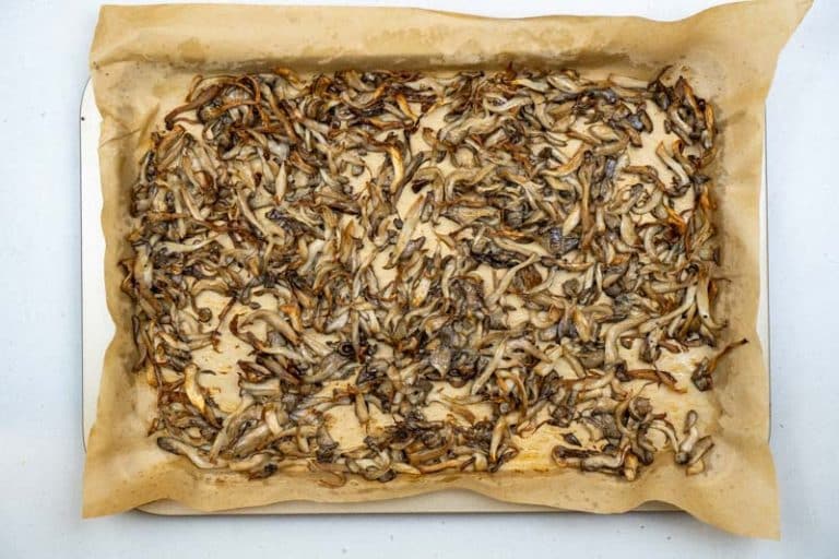 Delicious Vegan Mushroom Tinga (Tinga de Hongos) - No Frills Kitchen
